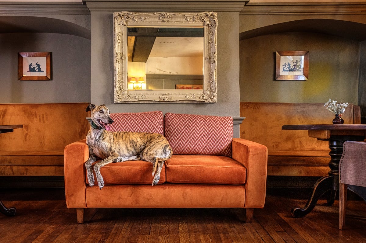 Chestnut Group Pubs | Pubs, Inns & Restaurants in East Anglia